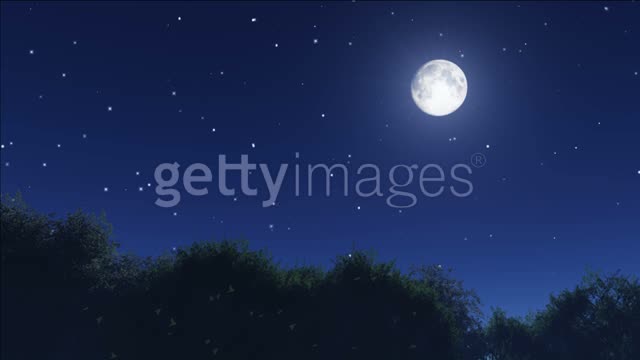 stars twinkle in night sky& birds fly in trees. 동영상 (VID_0470923) - 게티이미지뱅크
