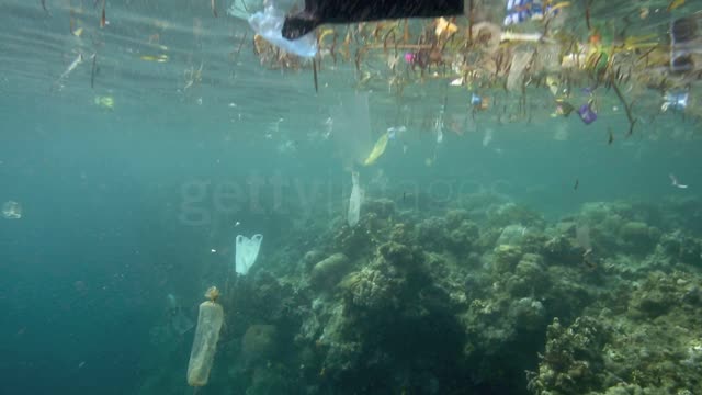Plastic bags and other garbage floating in ocean underwater over coral ...