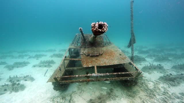 Army tank sunken underwater as an attraction for scuba divers at Pulau ...