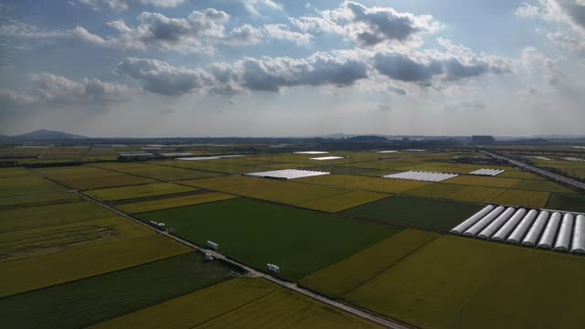 Rice paddy, Highway and surroundings / Nonsan-si, Chungcheongnam-do ...