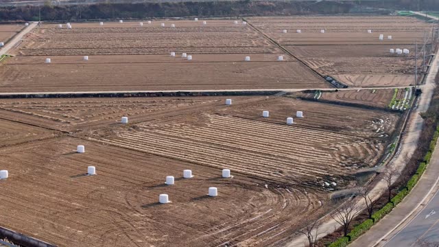 Silage, rice paddy, harvesting, farm village scenery / Sangju-si ...
