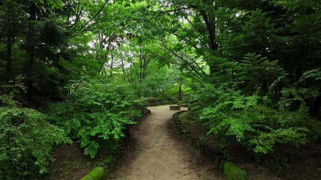 Giheung-gu, Korean Folk Village, footpath, forest and surroundings ...