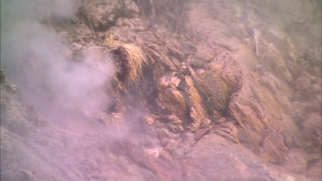Volcanic activity, steaming and boiling water / Kamchatka Peninsula ...