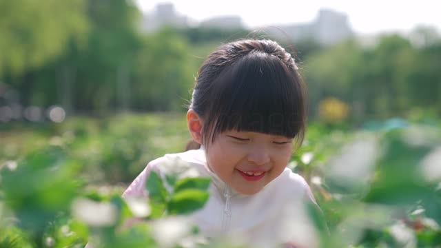 Picnic - Girl glad to see crop in weekend farm / South Korea 동영상 ...