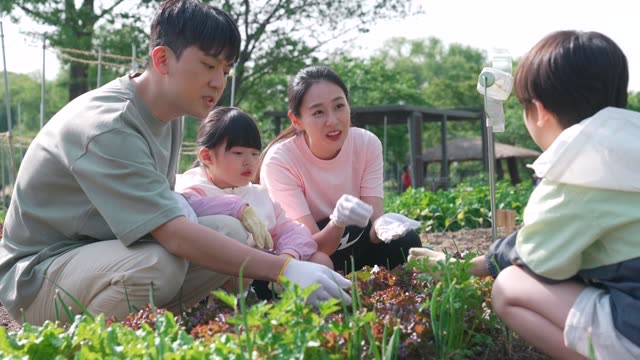 Picnic - Family having coversation and glad to see crop in weekend farm ...