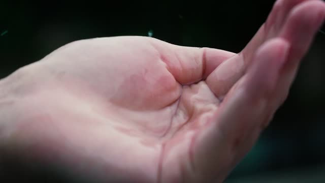 Rainy Day - Raindrops falling on hand in park / South Korea 동영상 ...