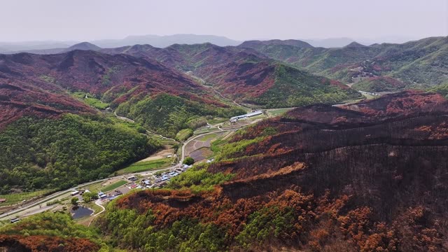 Gyeongsangbuk-do, Uiseong-gun, scene of mountain burnt by wildfire ...