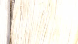 This dynamic wood texture can be composited over your footage for a ...