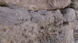 Stone wall of ancient ruins at archaeological site of Tauric Chersonese ...