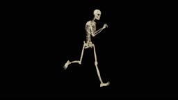 Skeleton running morphing into Human (VID_5524959) - 게티이미지뱅크