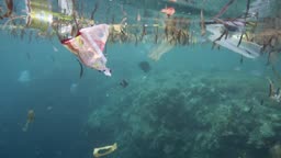 Plastic bags and other garbage floating in ocean underwater over coral ...