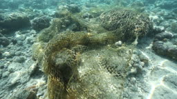 Old ghost fishing net tangled on coral reef at Maratua Island ...