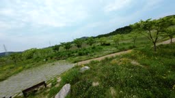 Daebudo Island, Daebu Bada Hyanggi Park, Metasequoia Tree Trail ...