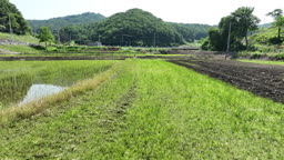Farm village, rice paddy, adlay field / Yeoncheon-gun, Gyeonggi-do ...