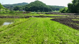Farm village, rice paddy, adlay field / Yeoncheon-gun, Gyeonggi-do ...