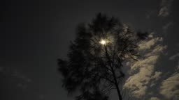 Bali, Ubud, full moon, moonlight, clouds and nature scenery in night ...